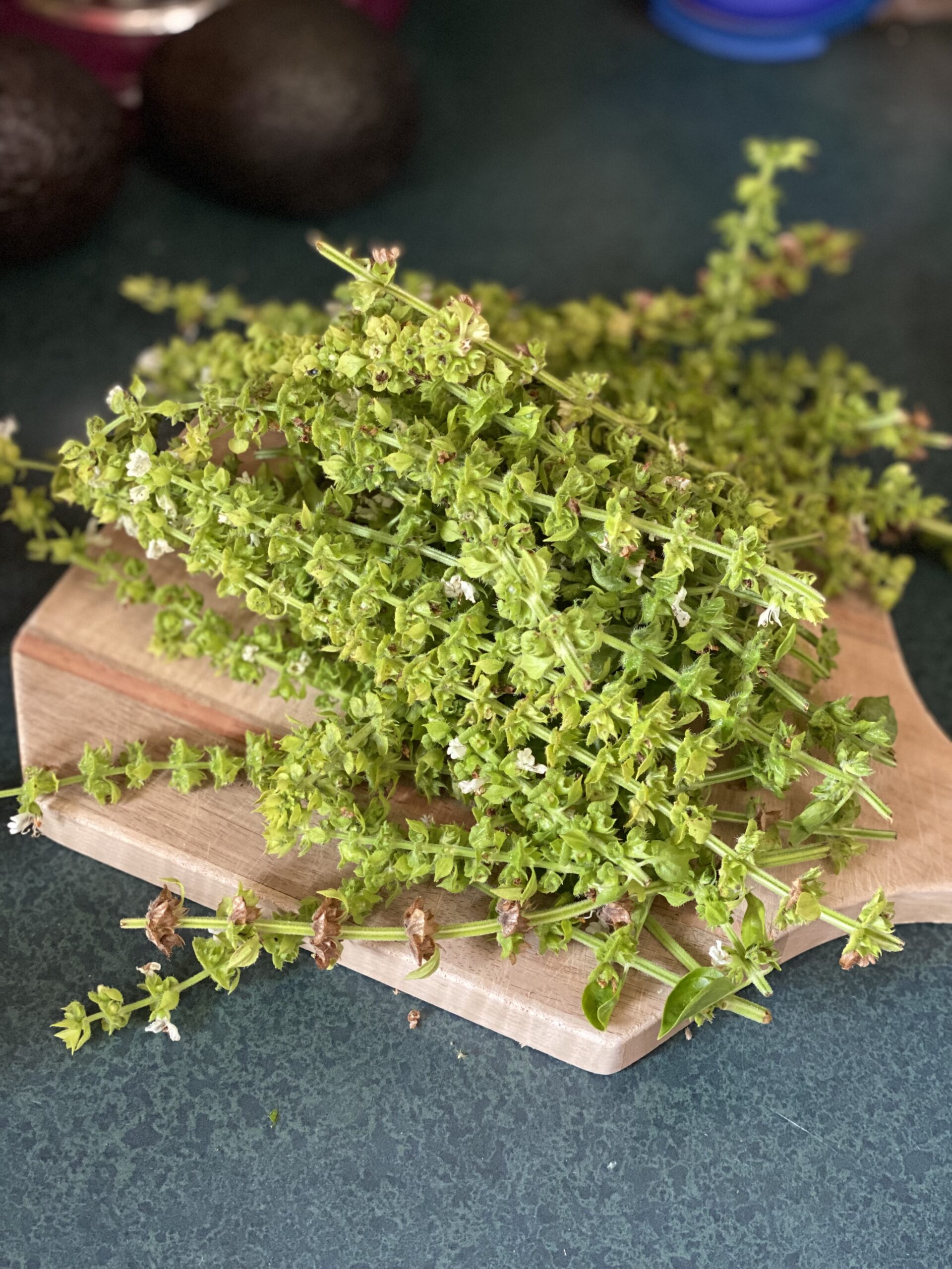 Dried Basil – Around Our Family Table